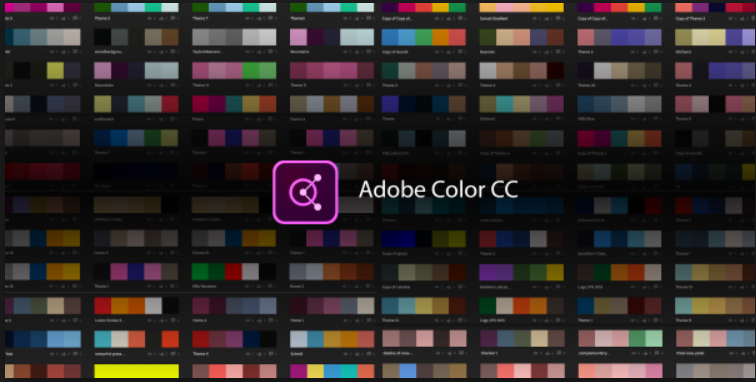 color palette - DESIGNIRVANA